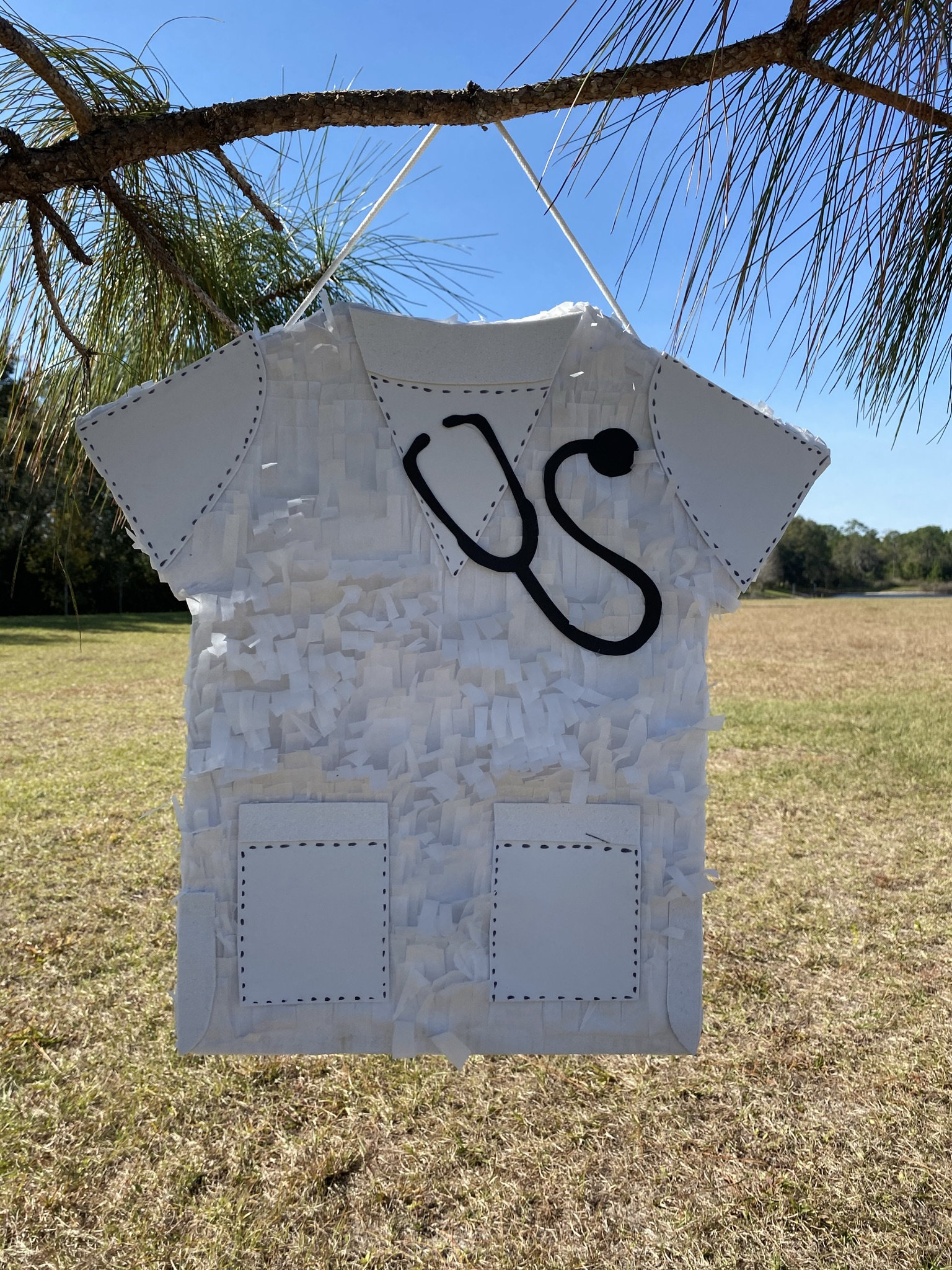 Doctor Scrub Top Pinata - Etsy