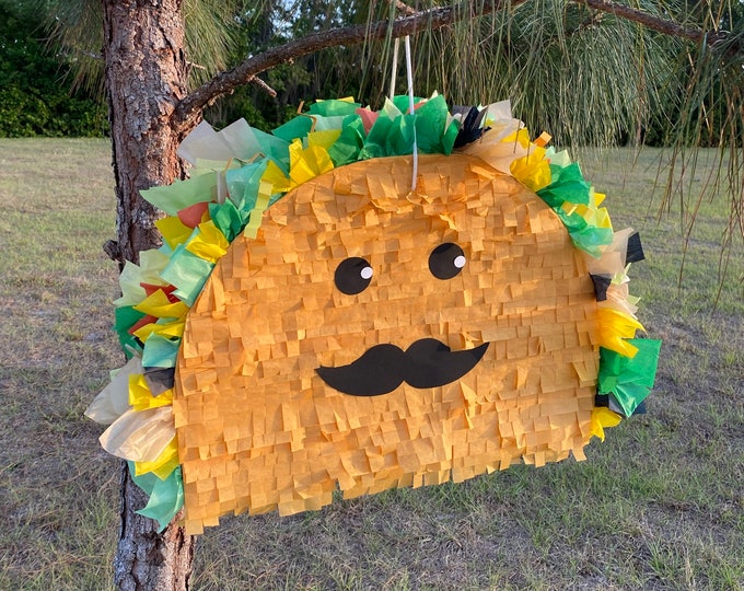 The Big Taco!! Pinata for Any Party - Etsy
