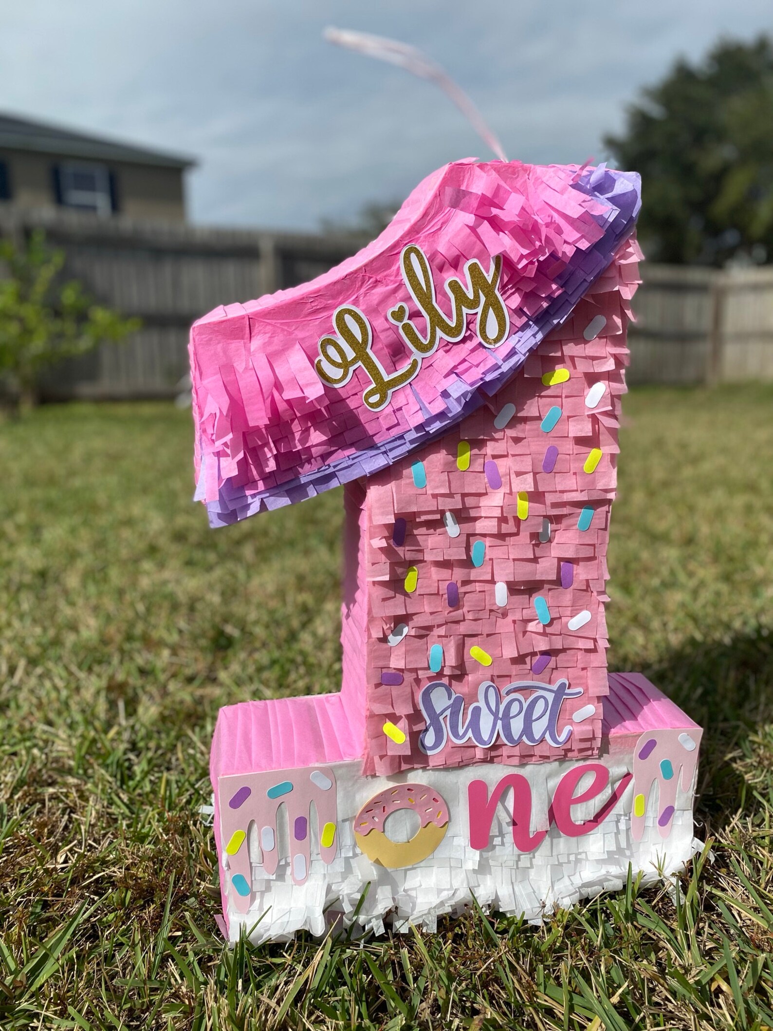 Sweet One Pinata available Numbers 1-9 With Name | Etsy