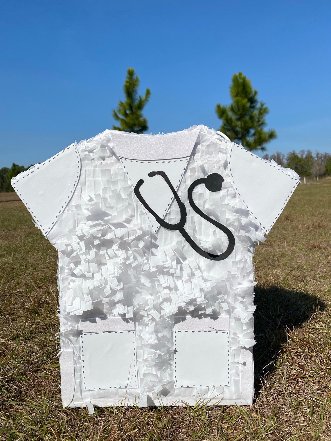 Doctor Scrub Top Pinata | Etsy