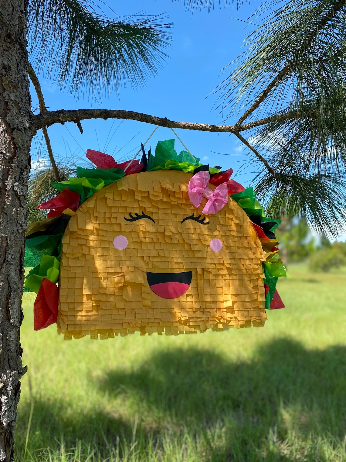 Taco Pinata (mexican Theme Party) Taco Girl or Boy Fiesta - Etsy