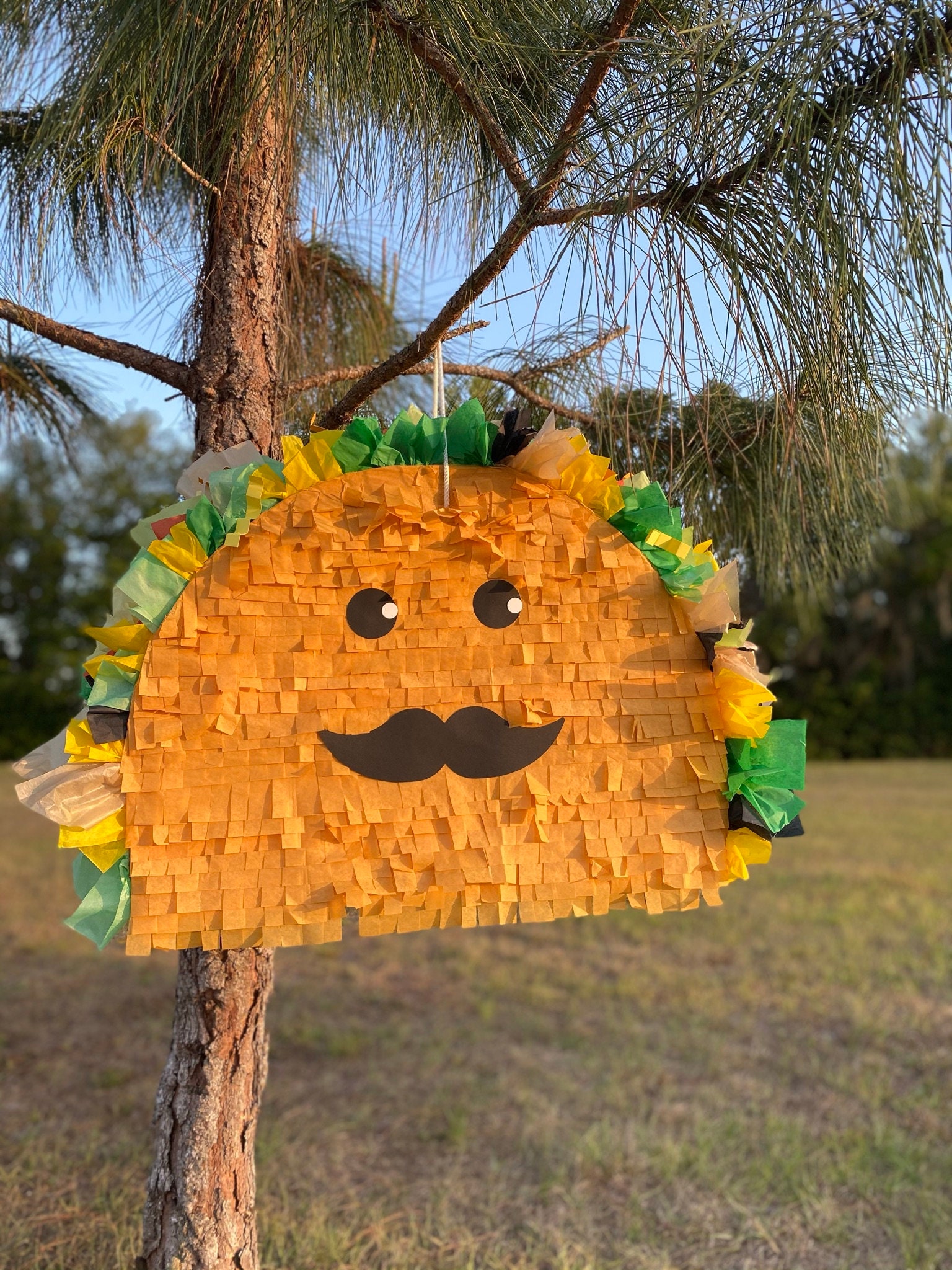 Taco Pinata (mexican Theme Party) Taco Girl or Boy Fiesta - Etsy