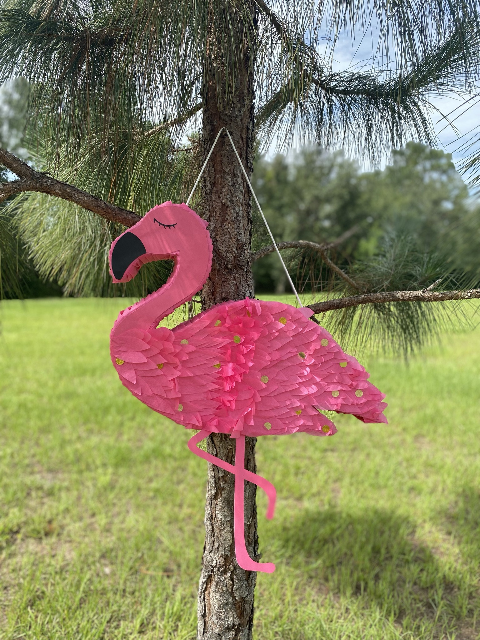 Flamingo Pinata Bird Theme | Etsy
