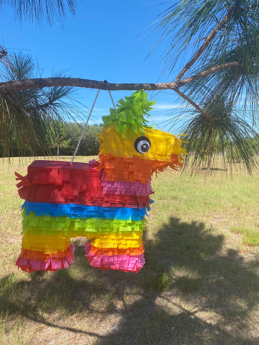 Donkey Pinata Mexican Theme - Etsy