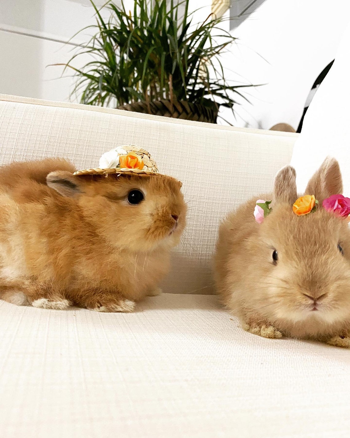 Straw Hat for Bunnies and Other Furry Friends | Etsy