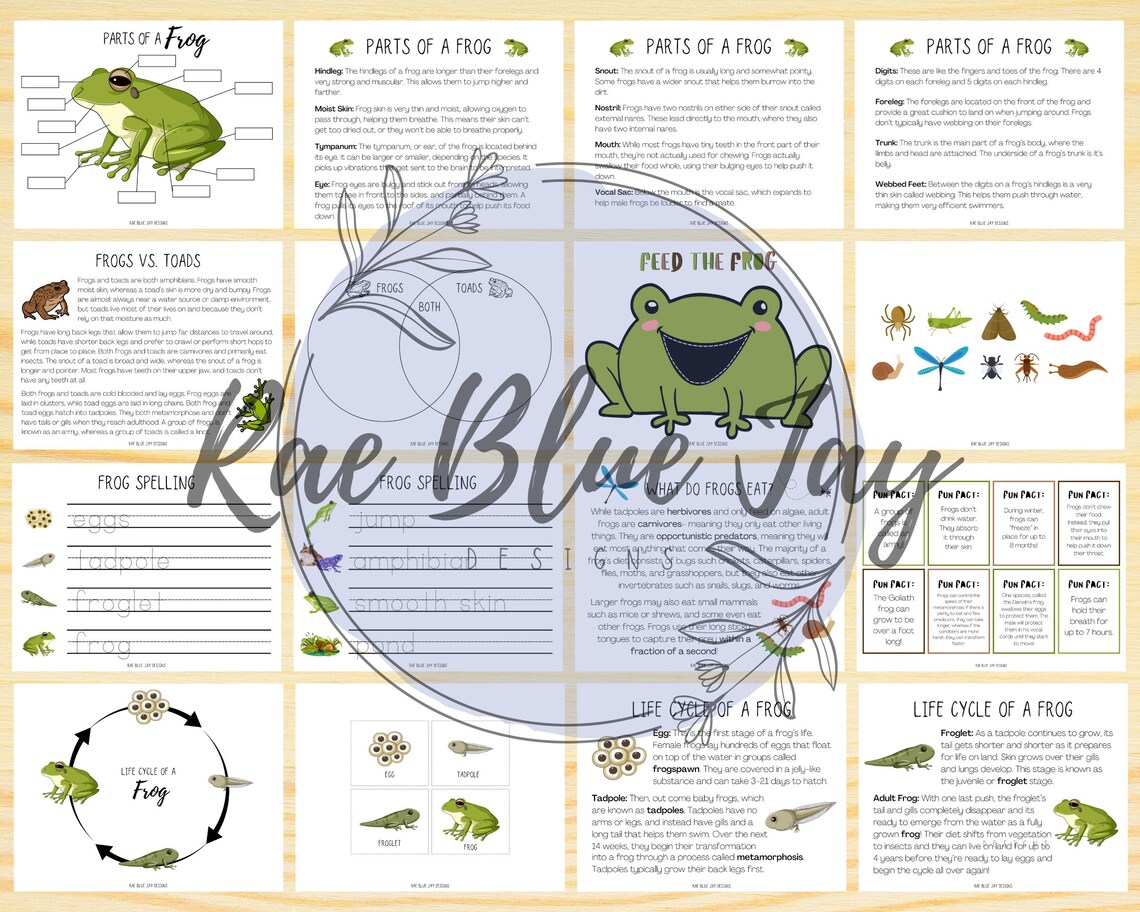 Frog Unit Study INSTANT DOWNLOAD, Life Cycle of a Frog, Kids Science ...