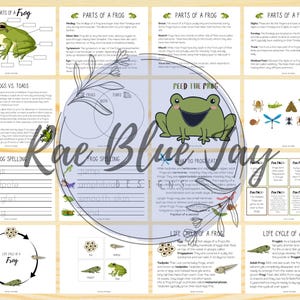 Frog Unit Study INSTANT DOWNLOAD, Life Cycle of a Frog, Kids Science ...