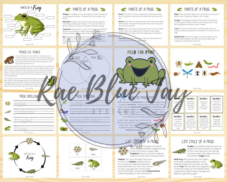 Frog Unit Study INSTANT DOWNLOAD, Life Cycle of a Frog, Kids Science ...