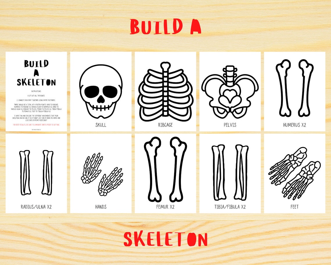 Human Body Unit Study Human Body Bundle Learn About the - Etsy