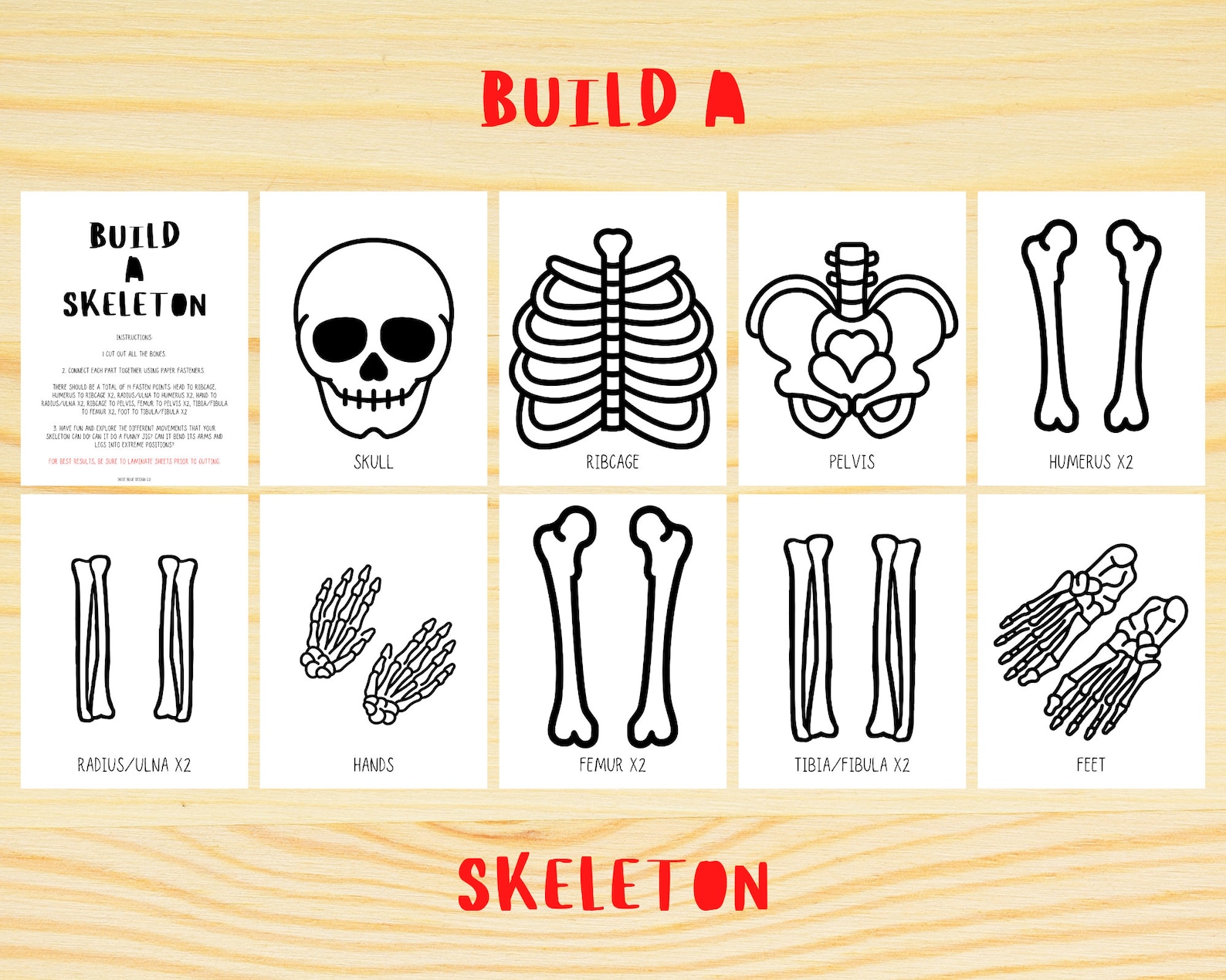 Human Body Unit Study Human Body Bundle Learn About the - Etsy