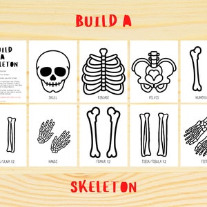 Human Body Unit Study, Human Body Bundle, Learn About the Body, Instant ...