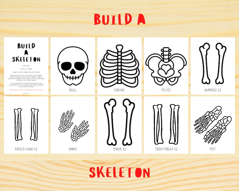 Human Body Unit Study Human Body Bundle Learn About the - Etsy