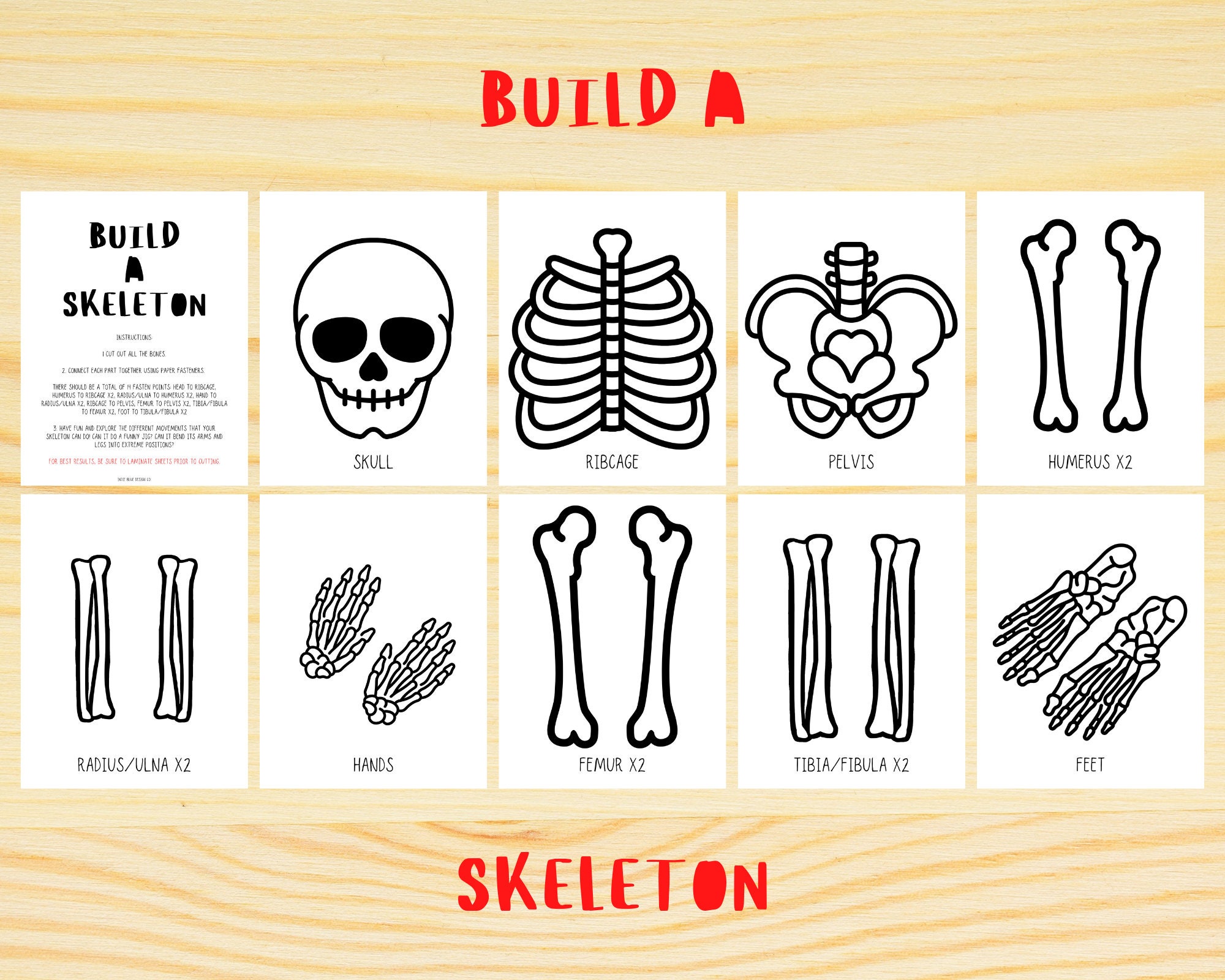 Human Body Unit Study Human Body Bundle Learn About the - Etsy