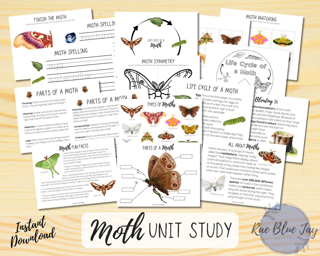 Moth Unit Study INSTANT DOWNLOAD, Life Cycle of a Moth, Kids Science ...