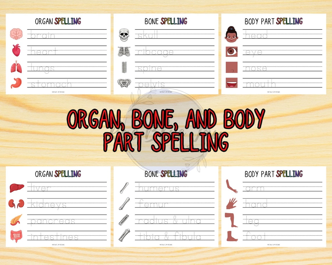 Human Body Unit Study, Human Body Bundle, Learn About the Body, Instant ...