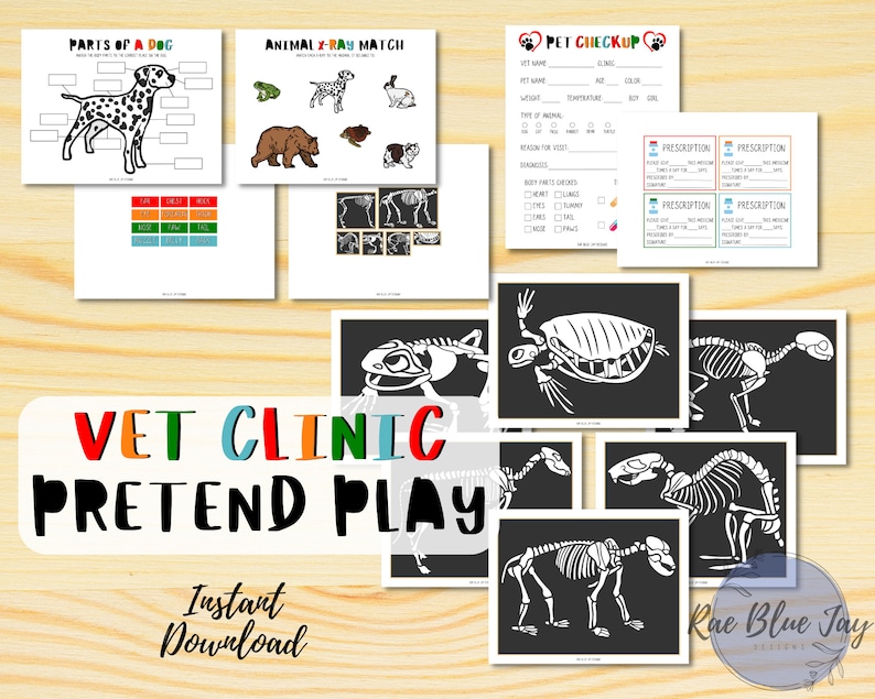 Vet Clinic Pretend Play INSTANT DOWNLOAD, Kids Vet Printable, Animal ...