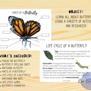 Butterfly Unit Study INSTANT DOWNLOAD, Life Cycle of a Butterfly, Kids ...