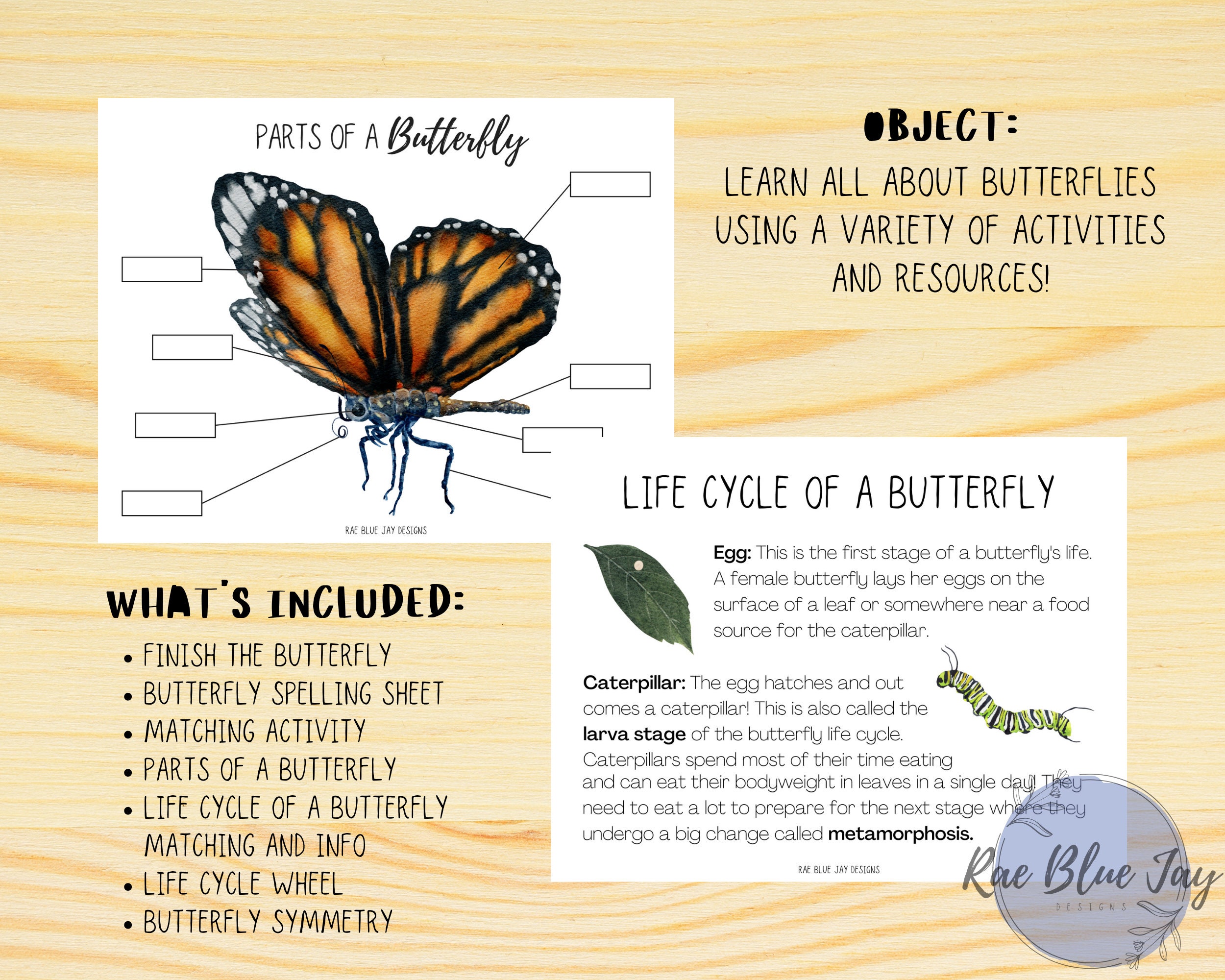 Butterfly Unit Study INSTANT DOWNLOAD, Life Cycle of a Butterfly, Kids ...