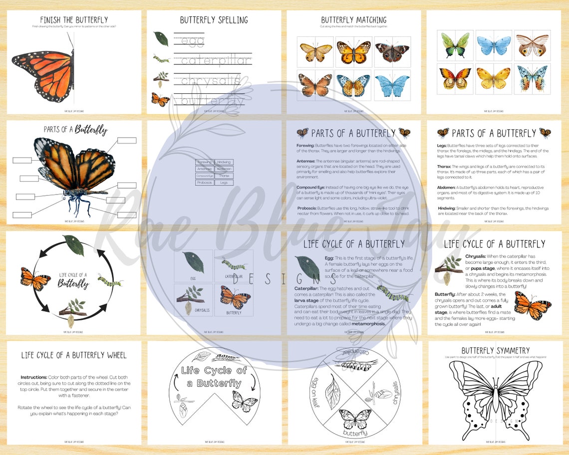 Butterfly Unit Study INSTANT DOWNLOAD, Life Cycle of a Butterfly, Kids ...