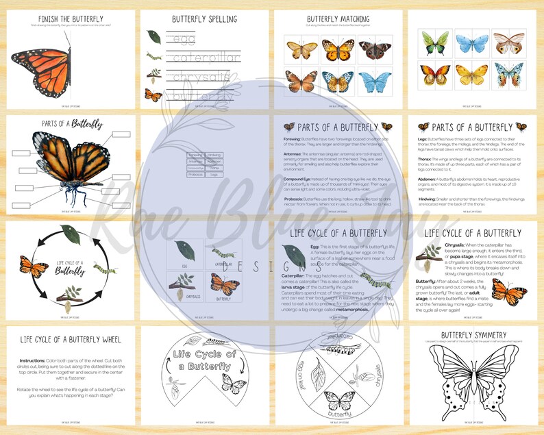 Butterfly Unit Study INSTANT DOWNLOAD, Life Cycle of a Butterfly, Kids ...