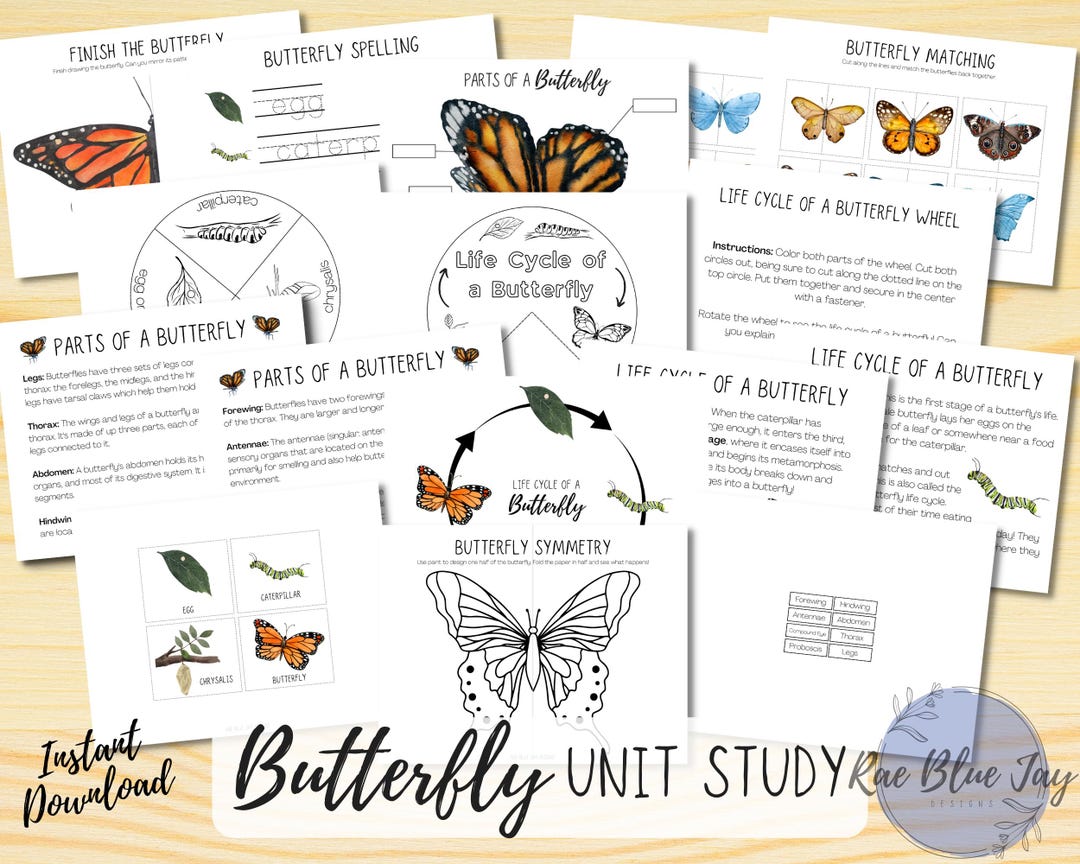 Butterfly Unit Study INSTANT DOWNLOAD, Life Cycle of a Butterfly, Kids ...