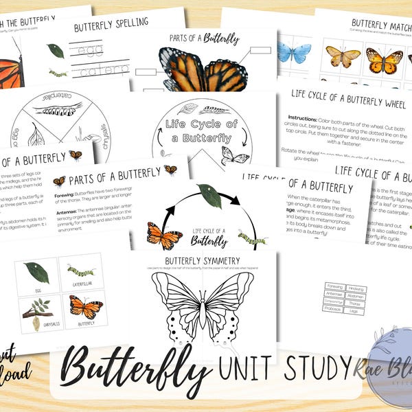 Anatomy of a Butterfly • Montessori Printable • Butterfly Study • Busy ...