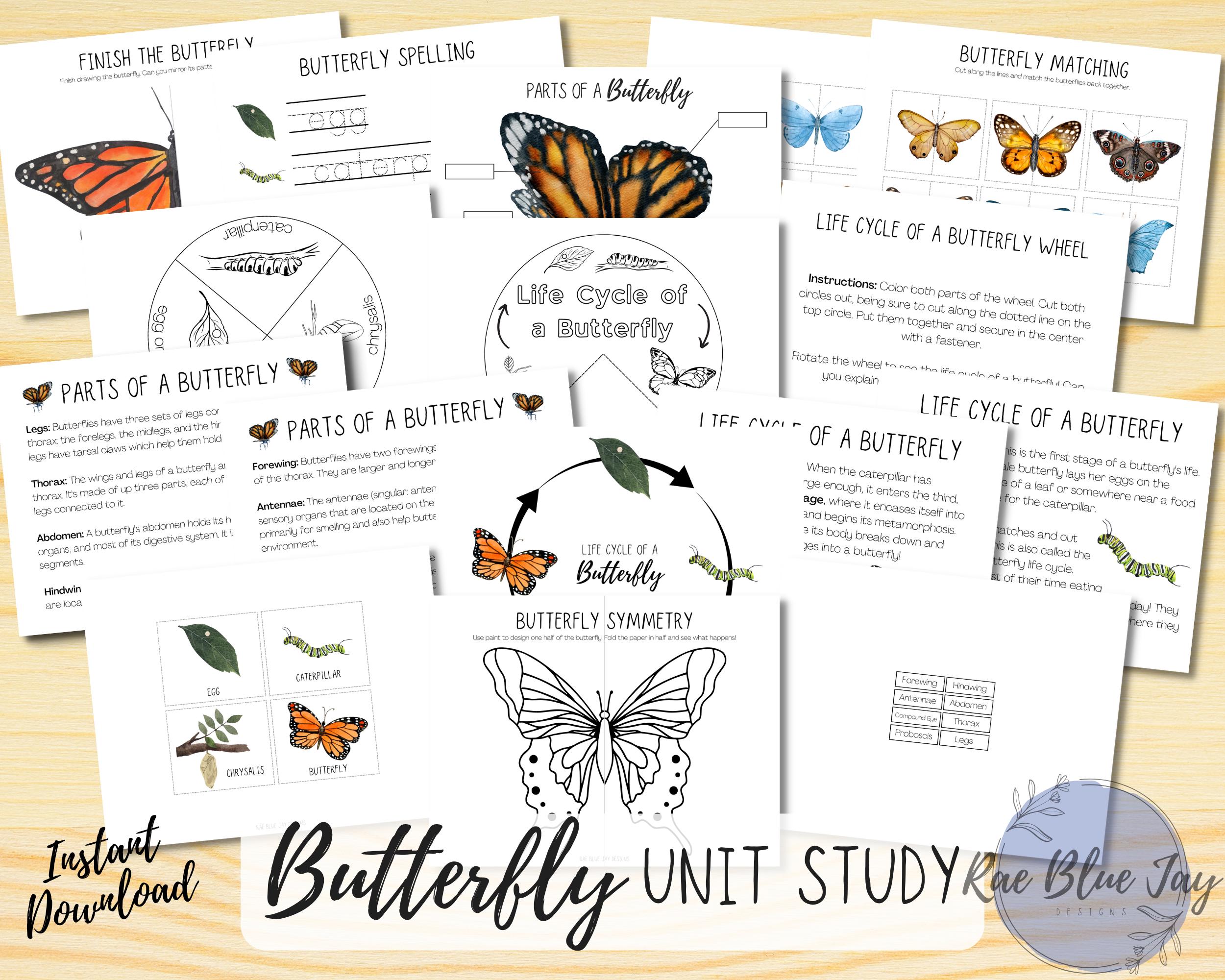 Butterfly Unit Study INSTANT DOWNLOAD, Life Cycle of a Butterfly, Kids ...