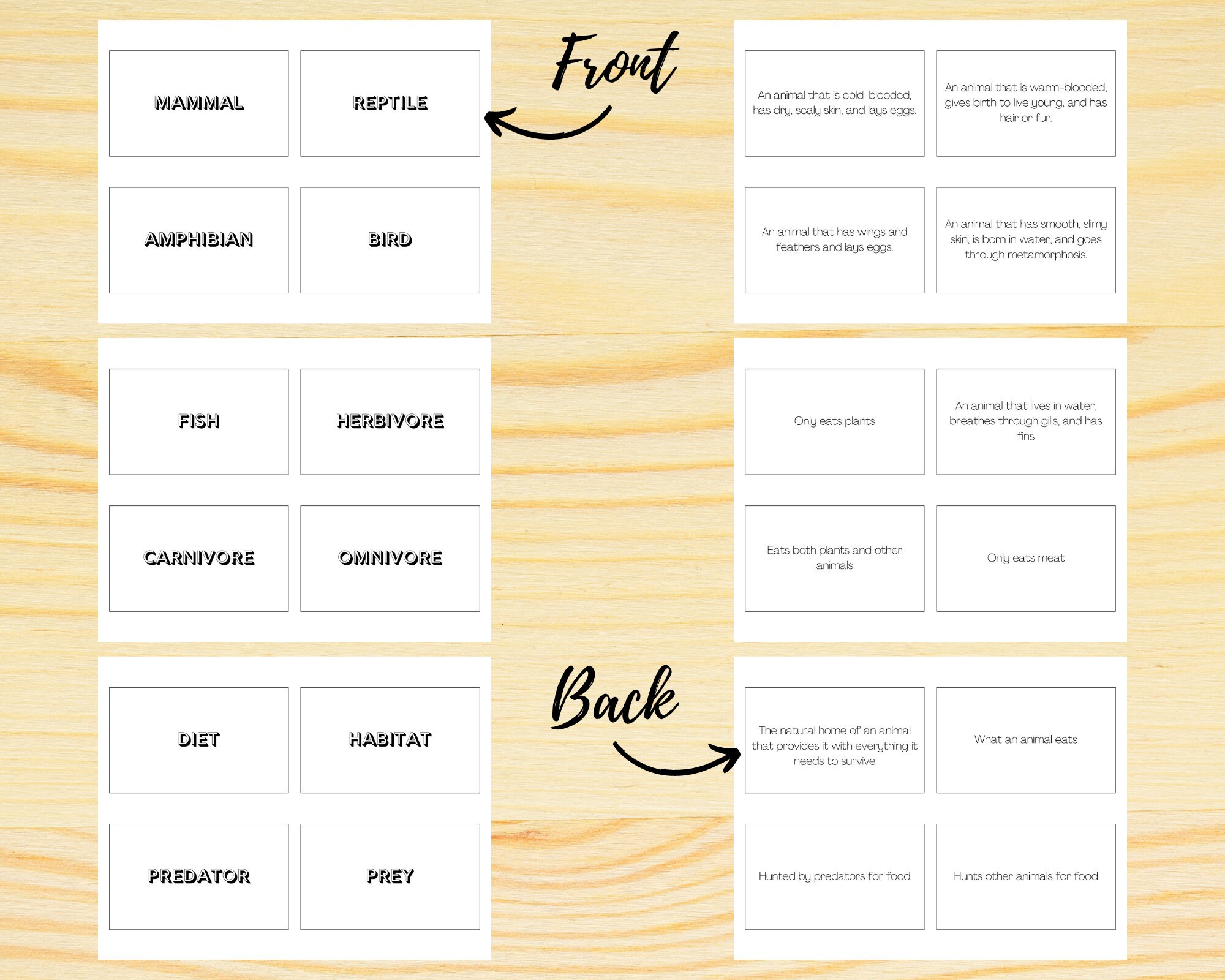 INSTANT DOWNLOAD Animal Unit Study, Animal Learning, Homeschool ...