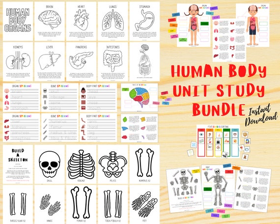 Human Body Unit Study Human Body Bundle Learn About the - Etsy