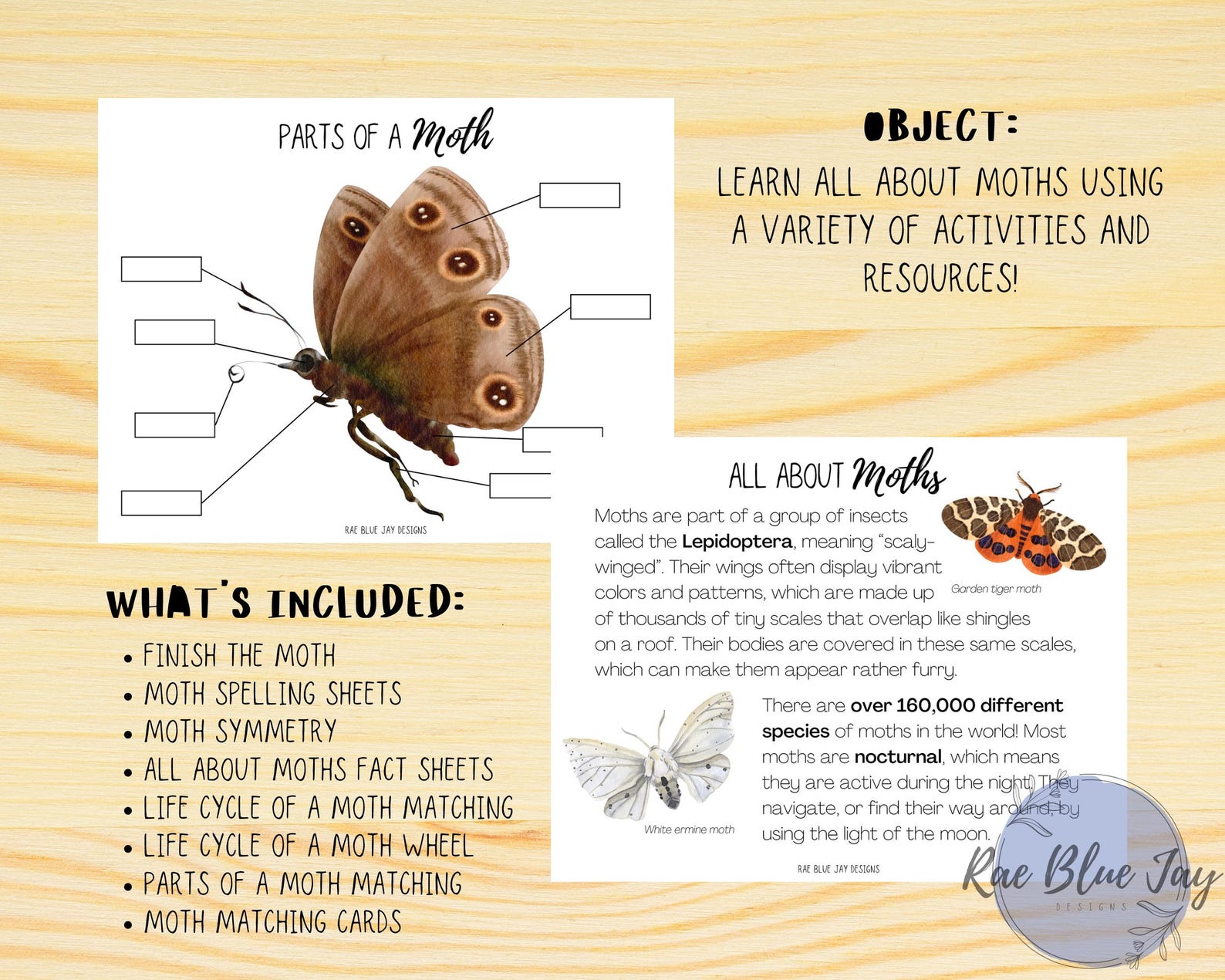 Moth Unit Study INSTANT DOWNLOAD, Life Cycle of a Moth, Kids Science ...