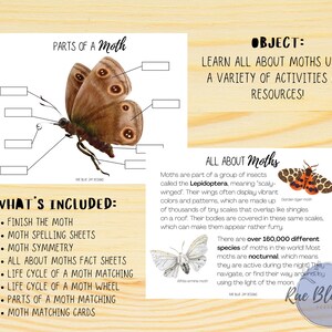 Moth Unit Study INSTANT DOWNLOAD, Life Cycle of a Moth, Kids Science ...