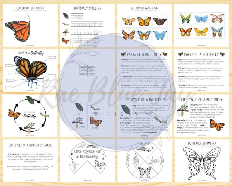 Butterfly Unit Study INSTANT DOWNLOAD, Life Cycle of a Butterfly, Kids ...
