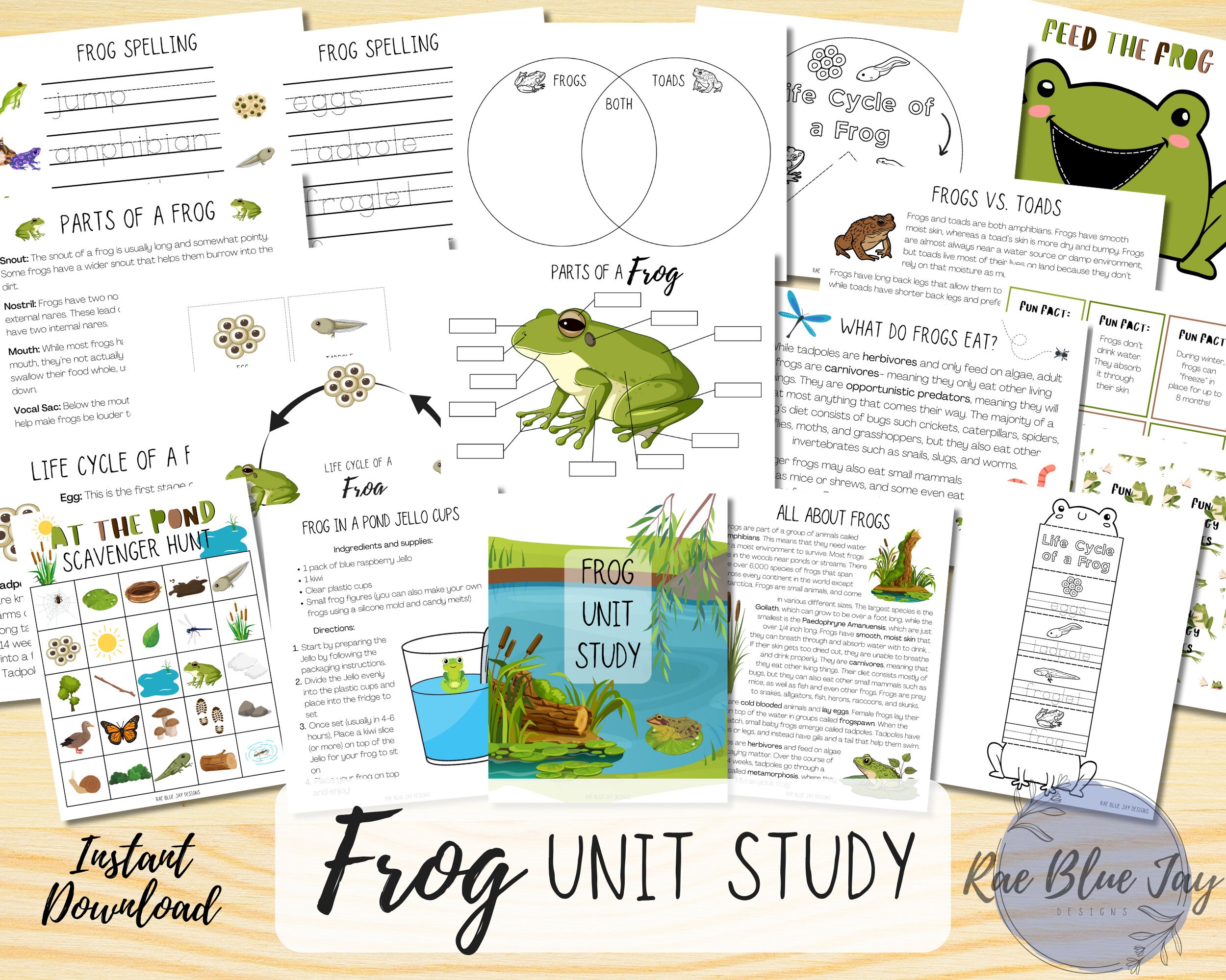 Frog Unit Study INSTANT DOWNLOAD, Life Cycle of a Frog, Kids Science ...