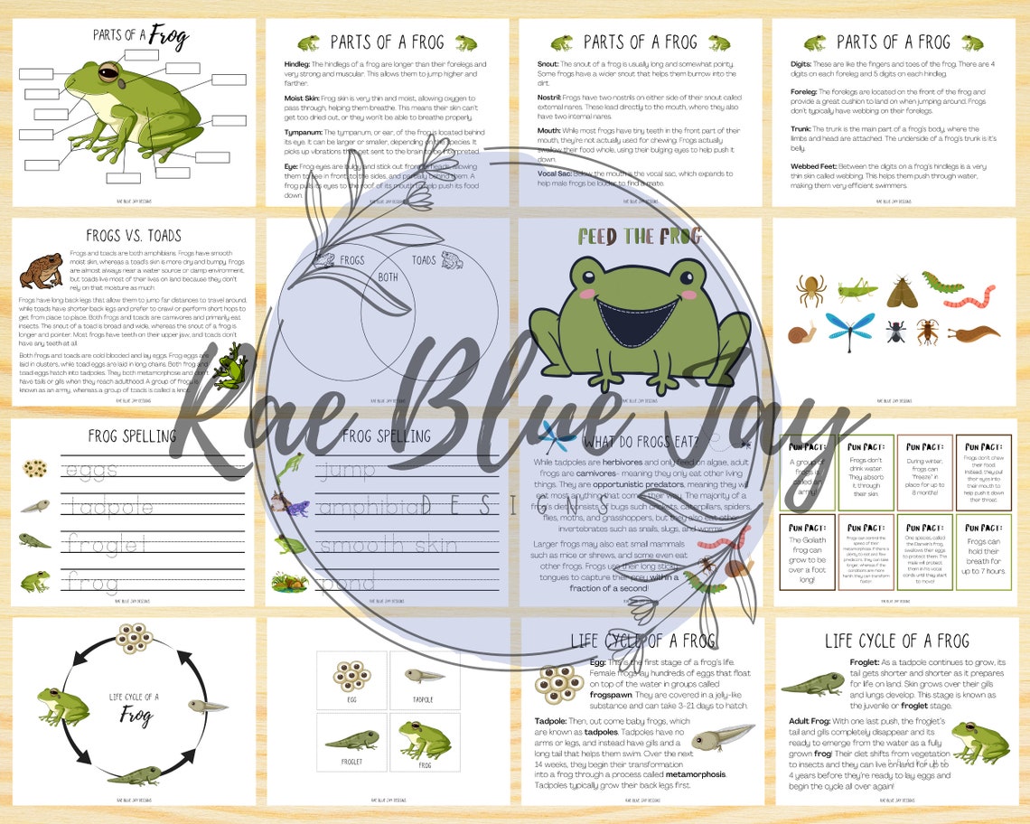 Frog Unit Study INSTANT DOWNLOAD Life Cycle of a Frog Kids - Etsy
