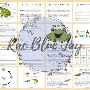 Frog Unit Study INSTANT DOWNLOAD, Life Cycle of a Frog, Kids Science ...