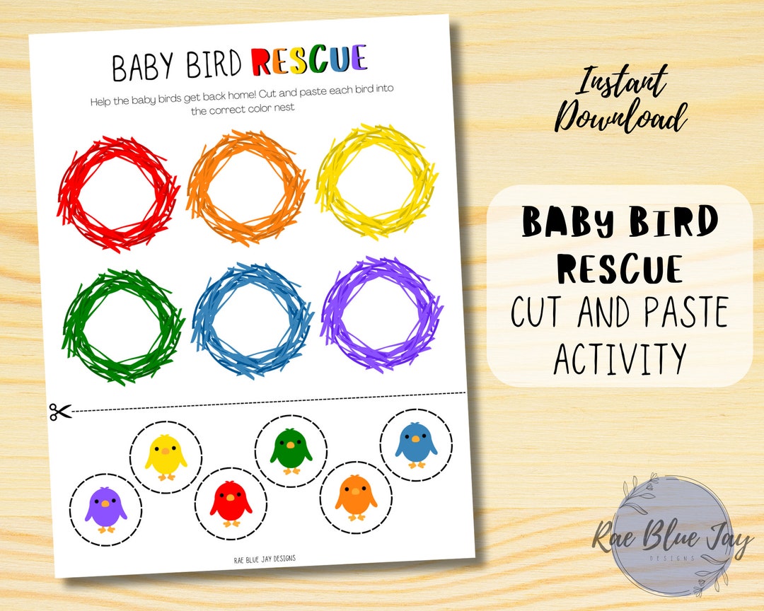 INSTANT DOWNLOAD Baby Bird Rescue Cut and Paste Activity, Kids Cutting ...