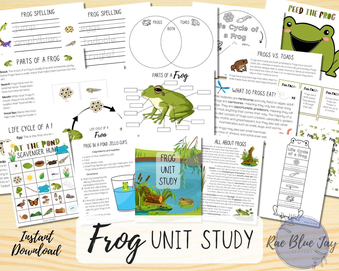 Frog Unit Study INSTANT DOWNLOAD, Life Cycle of a Frog, Kids Science ...