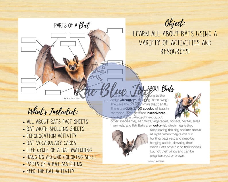 Bat Unit Study INSTANT DOWNLOAD, Life Cycle of a Butterfly, Kids ...