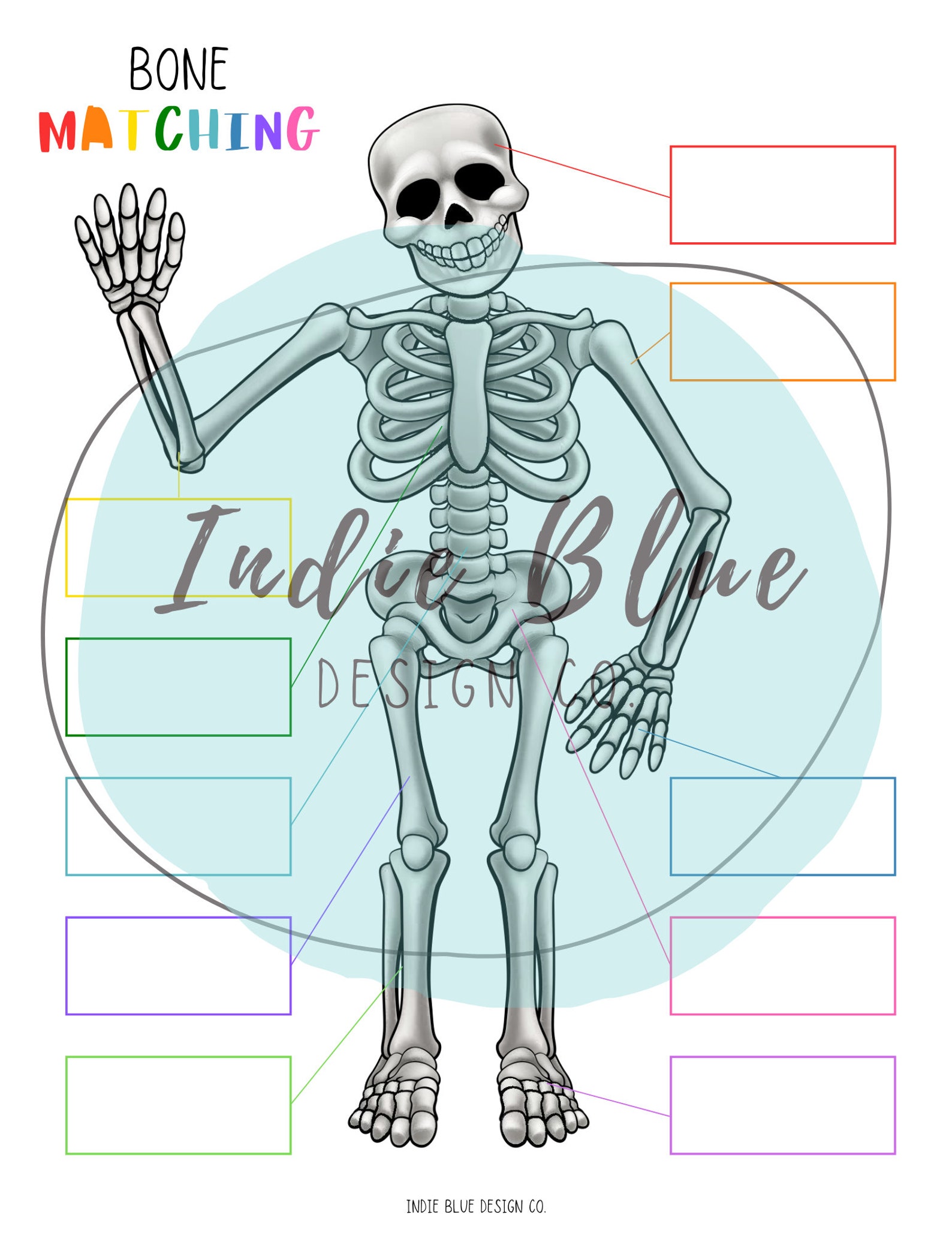 Human Body Study, Bone Matching, Human Body for Kids, Human Body ...
