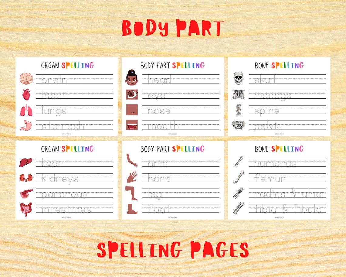 Human Body Unit Study Human Body Bundle Learn About the - Etsy Human Body Unit Study Human Body Bundle Learn About the - Etsy