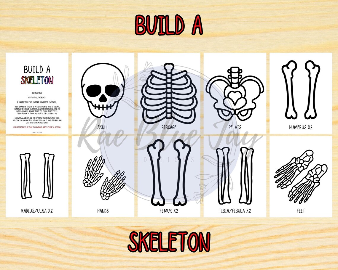 Human Body Unit Study, Human Body Bundle, Learn About the Body, Instant ...
