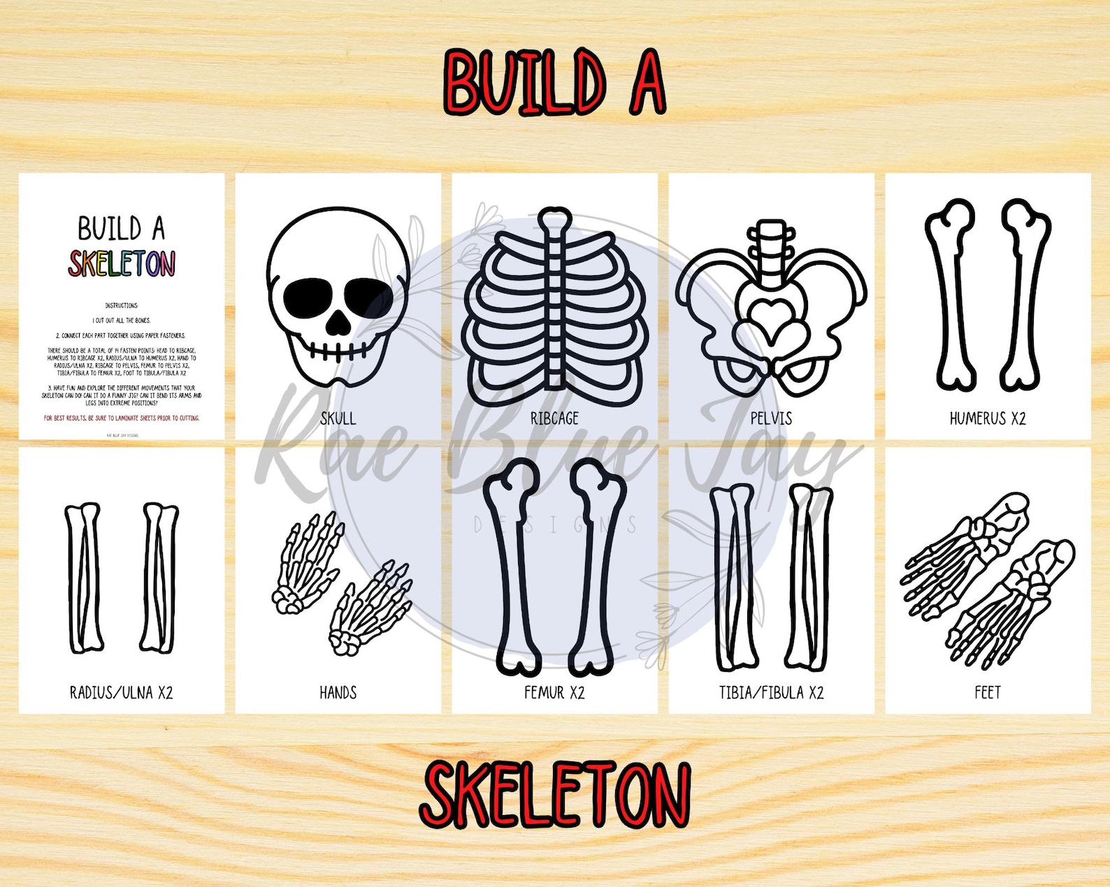 Human Body Unit Study, Human Body Bundle, Learn About the Body, Instant ...
