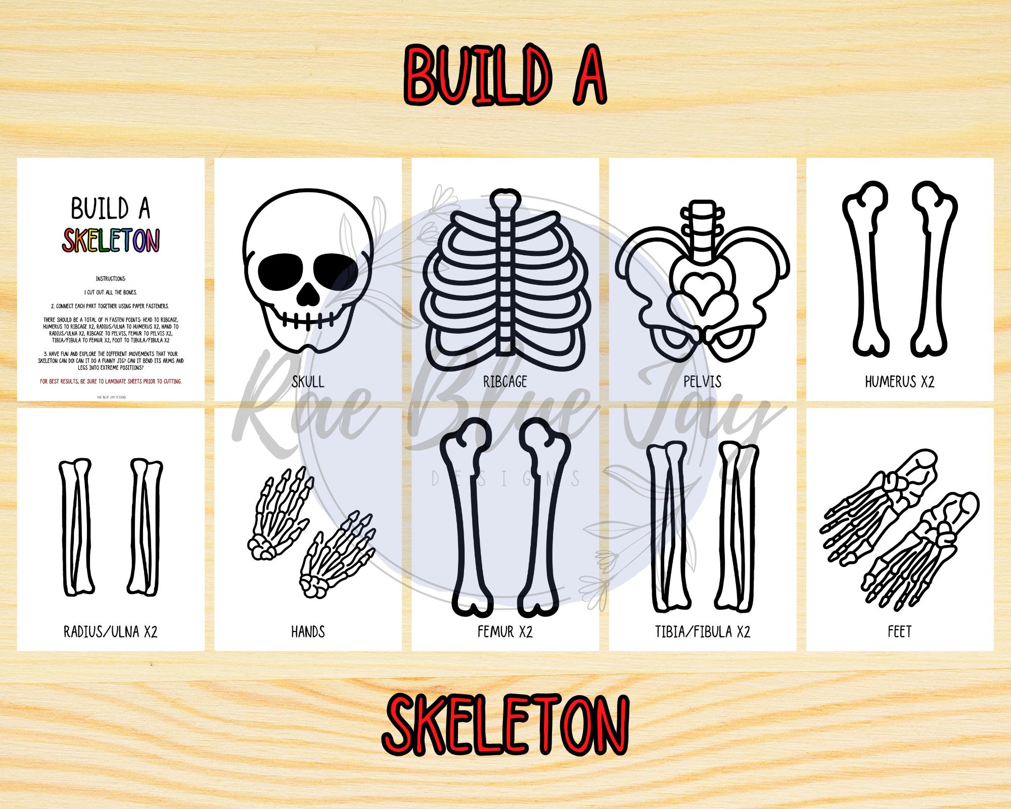 Human Body Unit Study, Human Body Bundle, Learn About the Body, Instant ...
