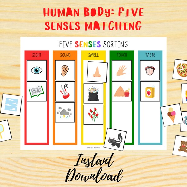 Five Senses Worksheet Template - Etsy