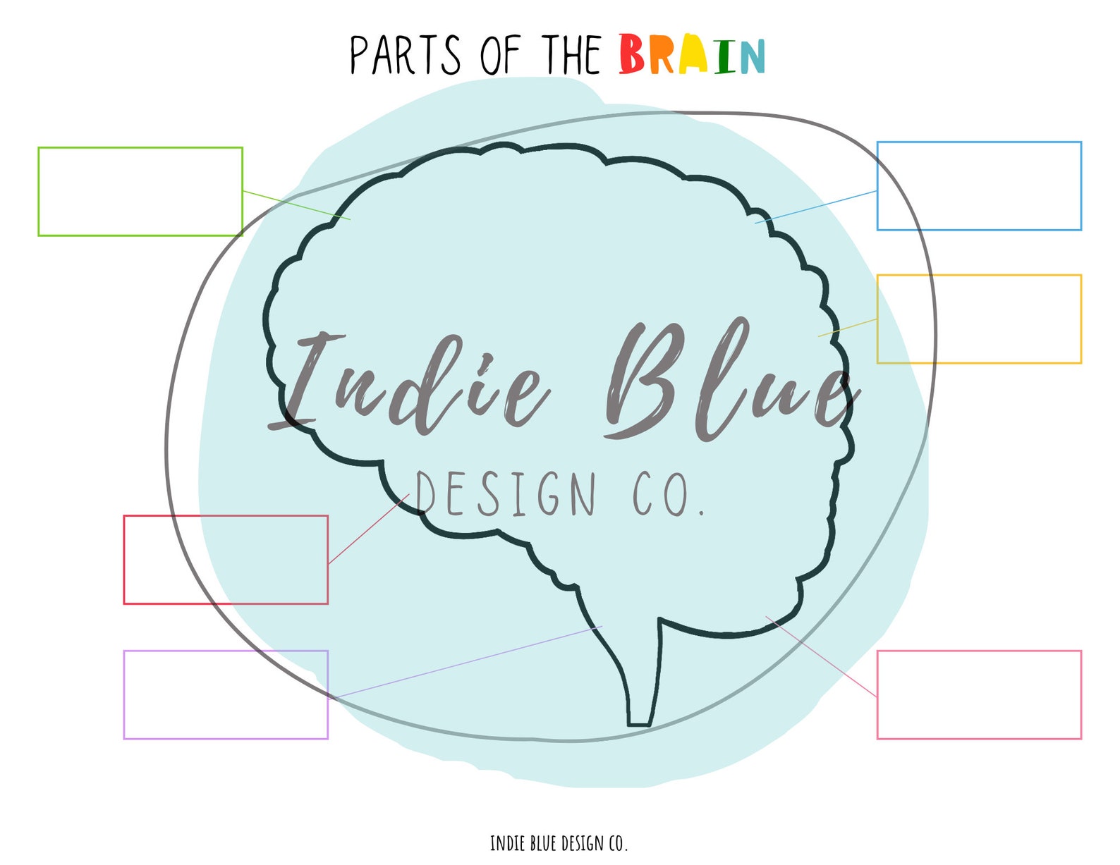 Human Body Study, Parts of the Brain, Brain Puzzle, Brain Activity ...