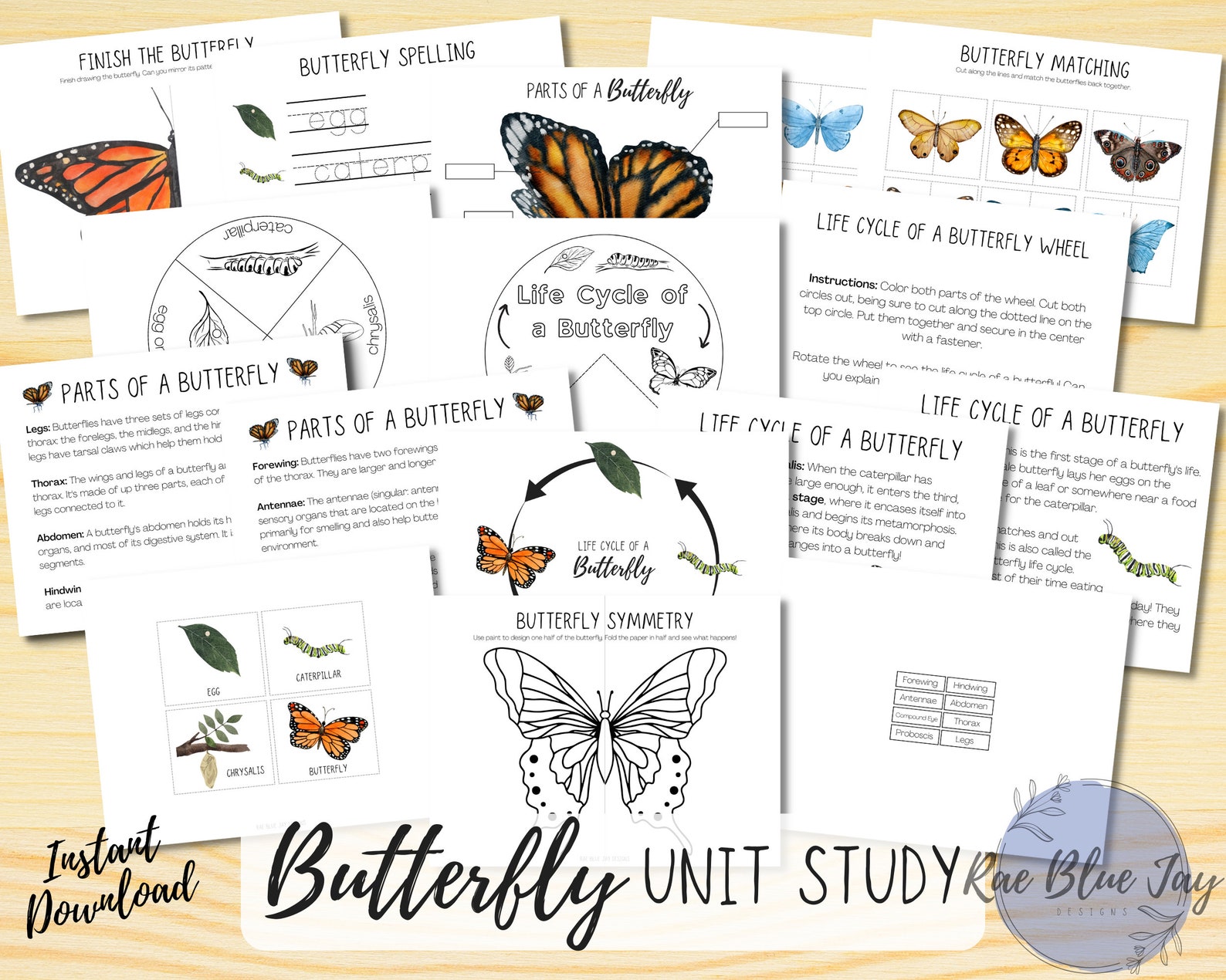 Butterfly Unit Study INSTANT DOWNLOAD, Life Cycle of a Butterfly, Kids ...