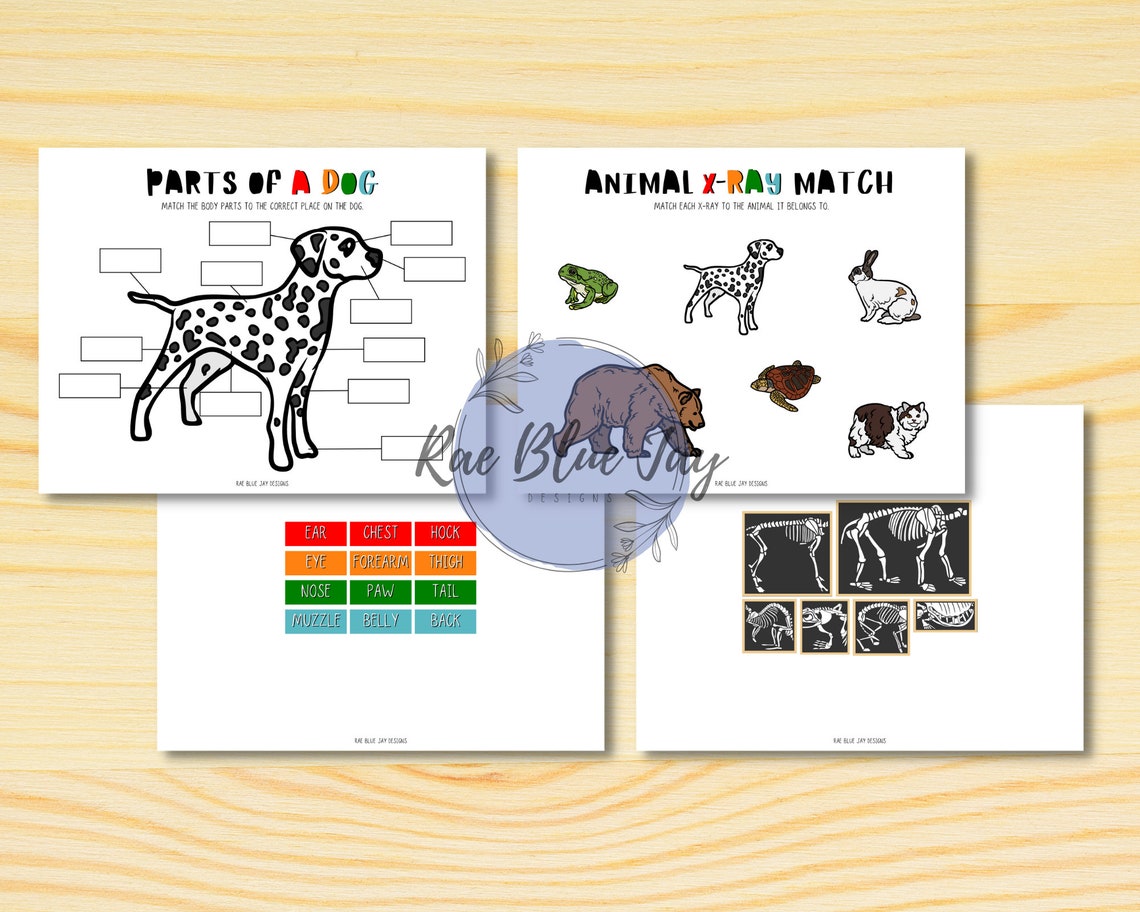Vet Clinic Pretend Play INSTANT DOWNLOAD, Kids Vet Printable, Animal ...
