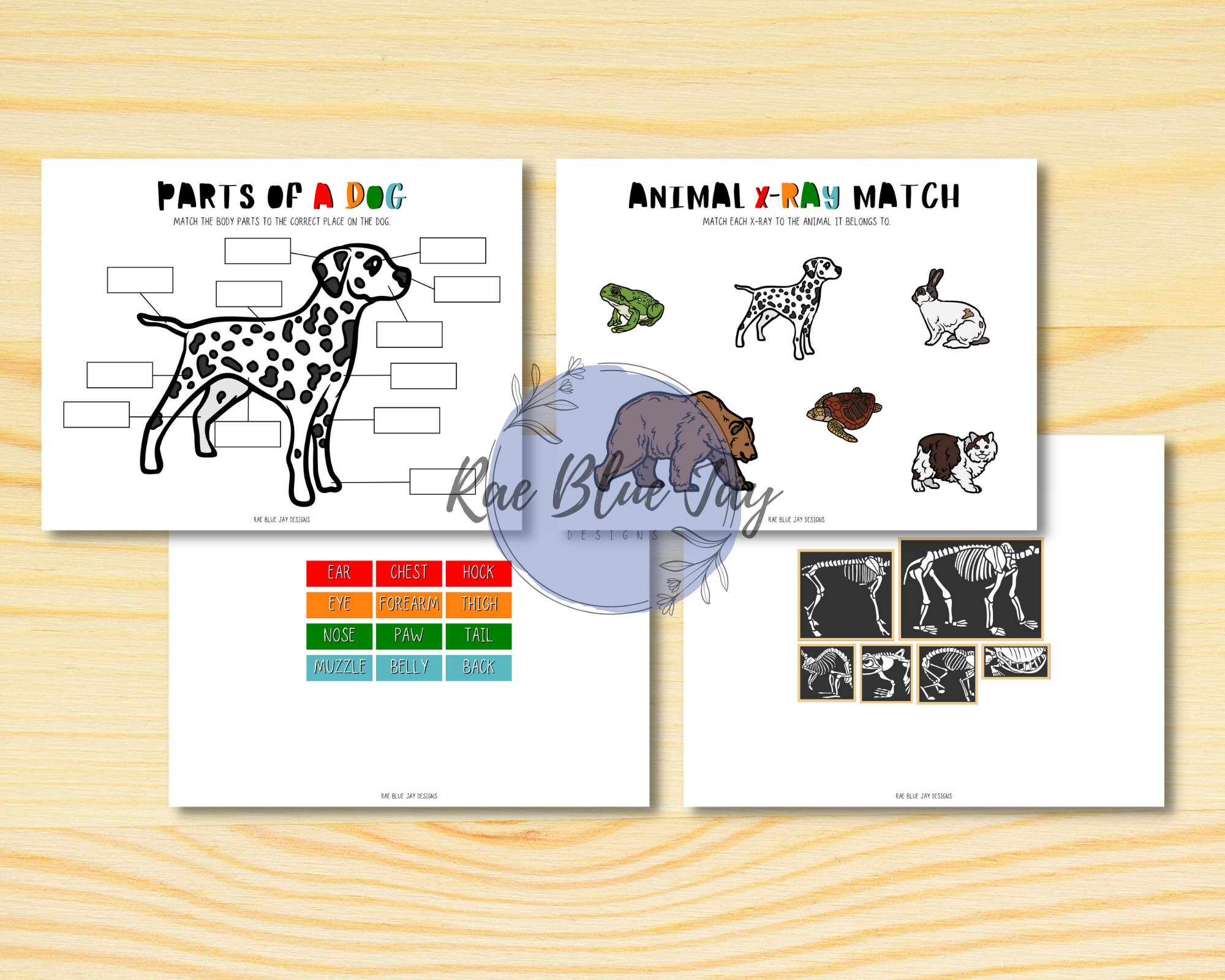 Vet Clinic Pretend Play INSTANT DOWNLOAD, Kids Vet Printable, Animal ...