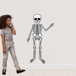Build a Skeleton, Life Size Skeleton, Human Body Study, Skeleton ...