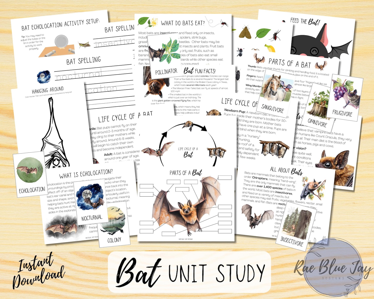 Bat Unit Study INSTANT DOWNLOAD, Life Cycle of a Butterfly, Kids ...